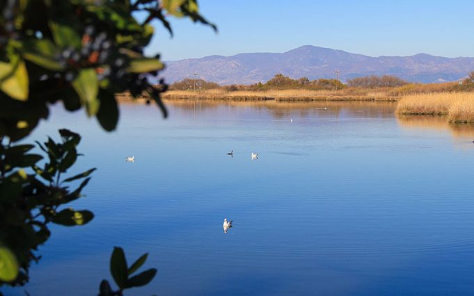 Balıkçı Köyü: Porto Lagos, İskeçe | Yolda Olmak