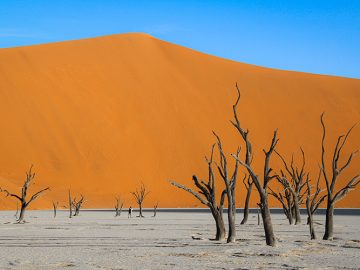 Namibya Rehberi | yoldaolmak.com